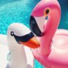 Giant 60inch Inflatable Unicorn Swan Flamingo Pool Float Water Toy ...