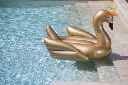Gold Giant Swan Inflatable Pool Float 75inch Rideable Summer Water Toy ...