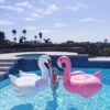 Giant Inflatable Flamingo White Swan Pool Floats Summer Lounge Raft Toy ...