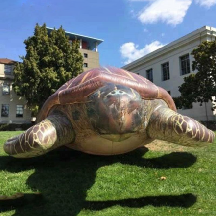 10ft Giant Inflatable Sea Turtle 3m Outdoor Ocean Park Activity Toy ...