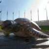 10ft Giant Inflatable Sea Turtle 3m Outdoor Ocean Park Activity Toy ...