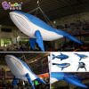 Giant 5m Inflatable Bingo Whale With Colorchanging Led Lights Toy ...