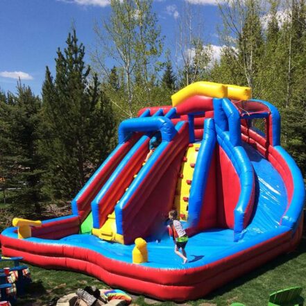 Commercial Grade Giant Inflatable Water Slide Pool With Pvc And Blowers ...